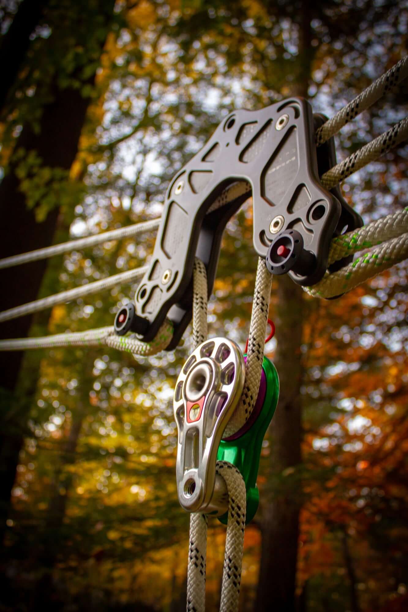 DMM Pulley: High-Performance Arborist & Rigging Pulleys
