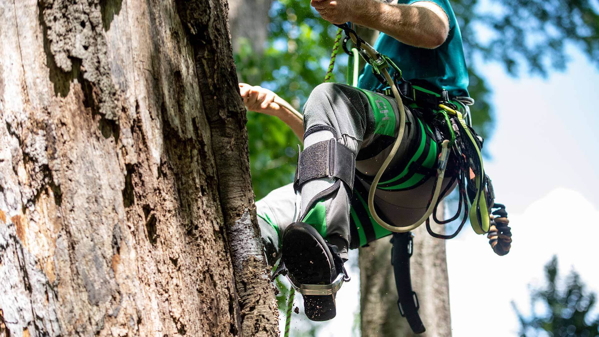 Notch Climbing Equipment - Gear for Arborists | Arrives Fast
