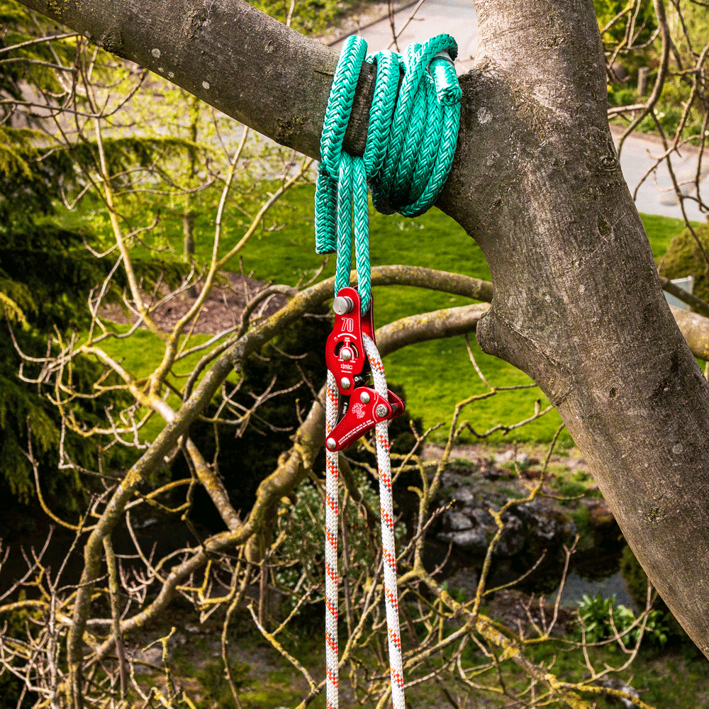 Buy Rigging Pulleys for Arborists | Heavy-Duty Blocks | Fast Delivery