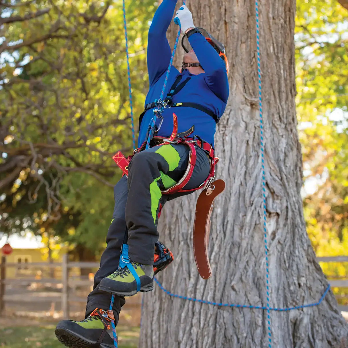 Climbing Ascenders for Arborists and Tree Climbers