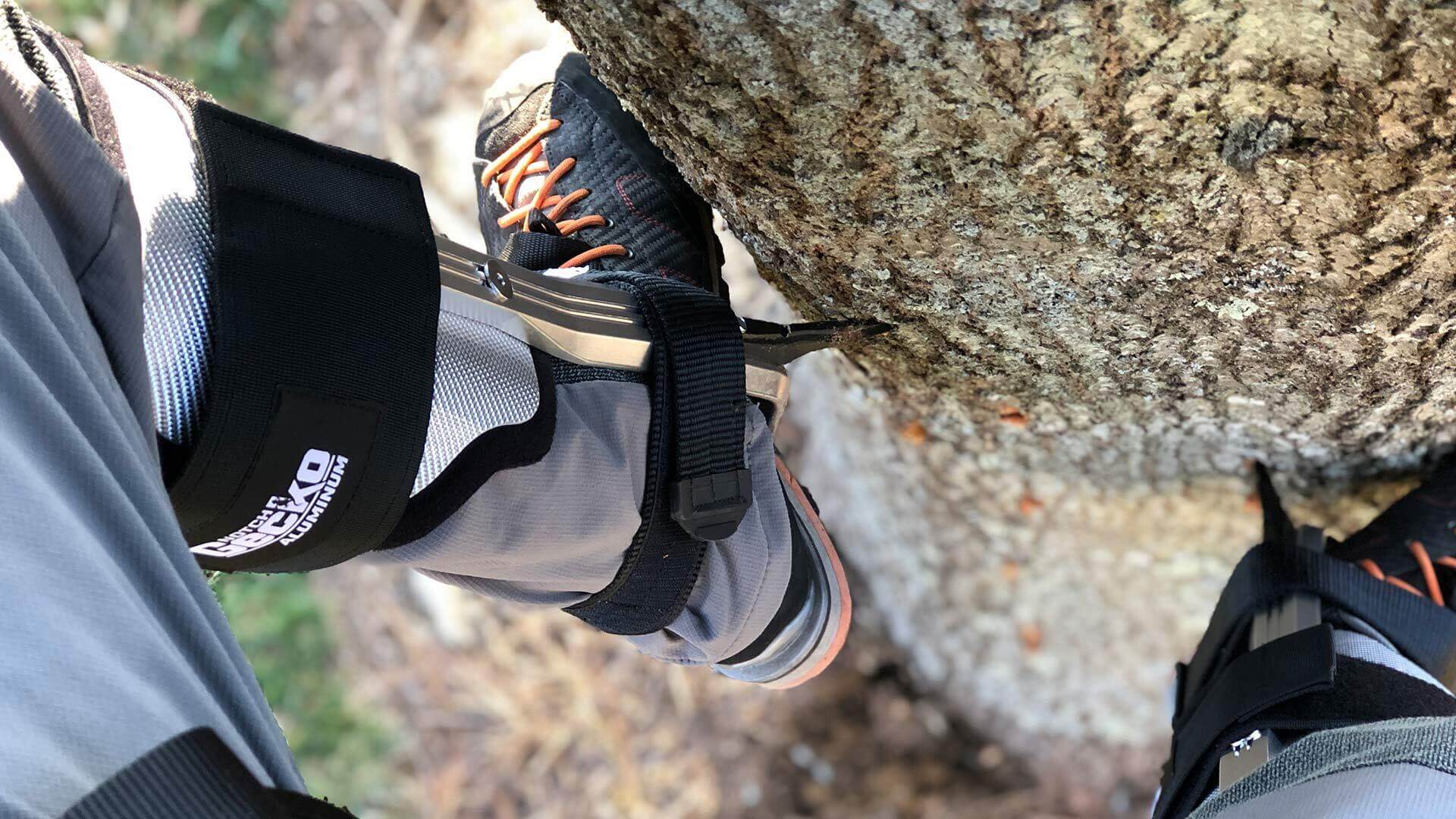 Tree Climbing Spurs & Spikes | Free Delivery £50+