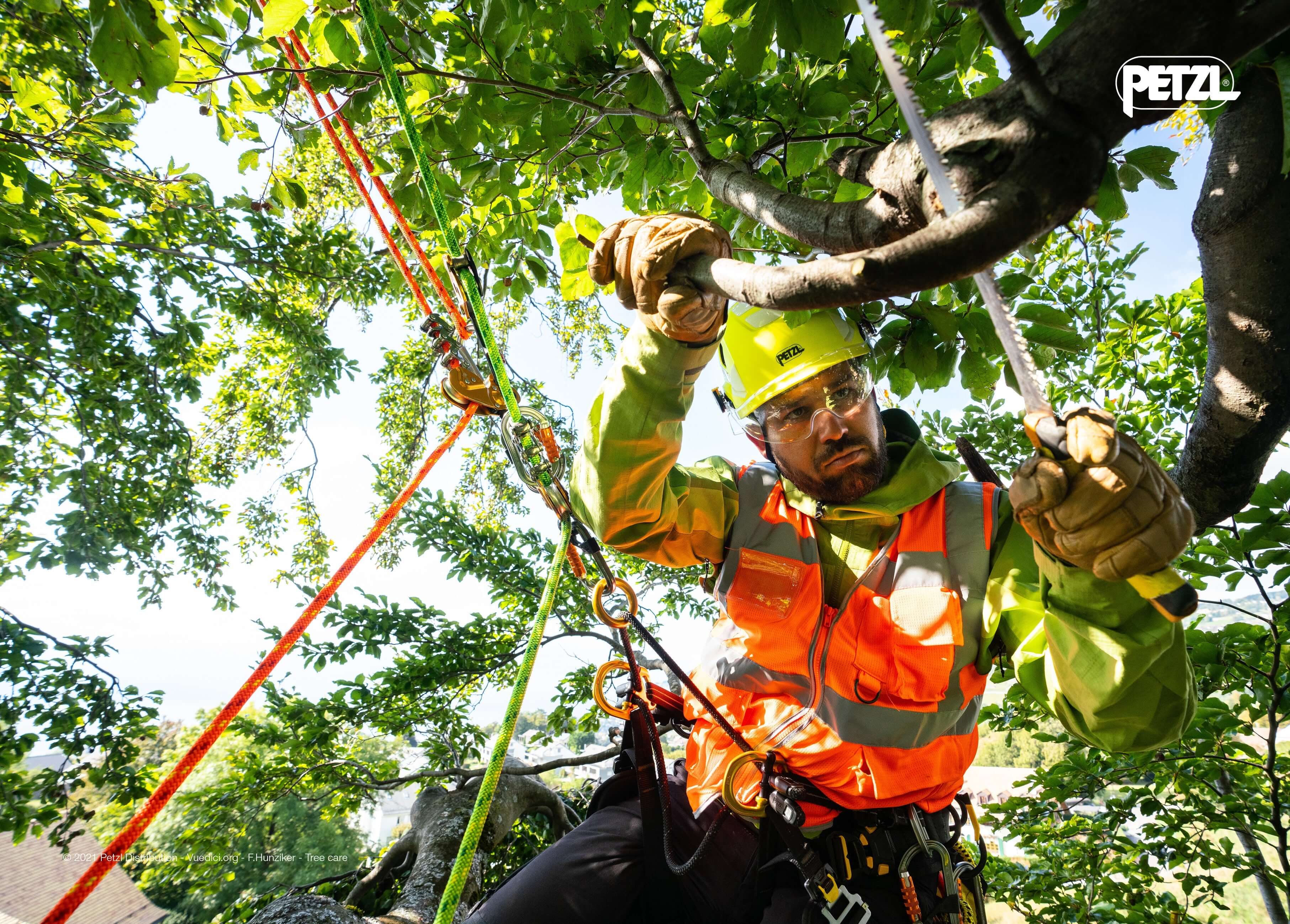Petzl Climbing Equipment