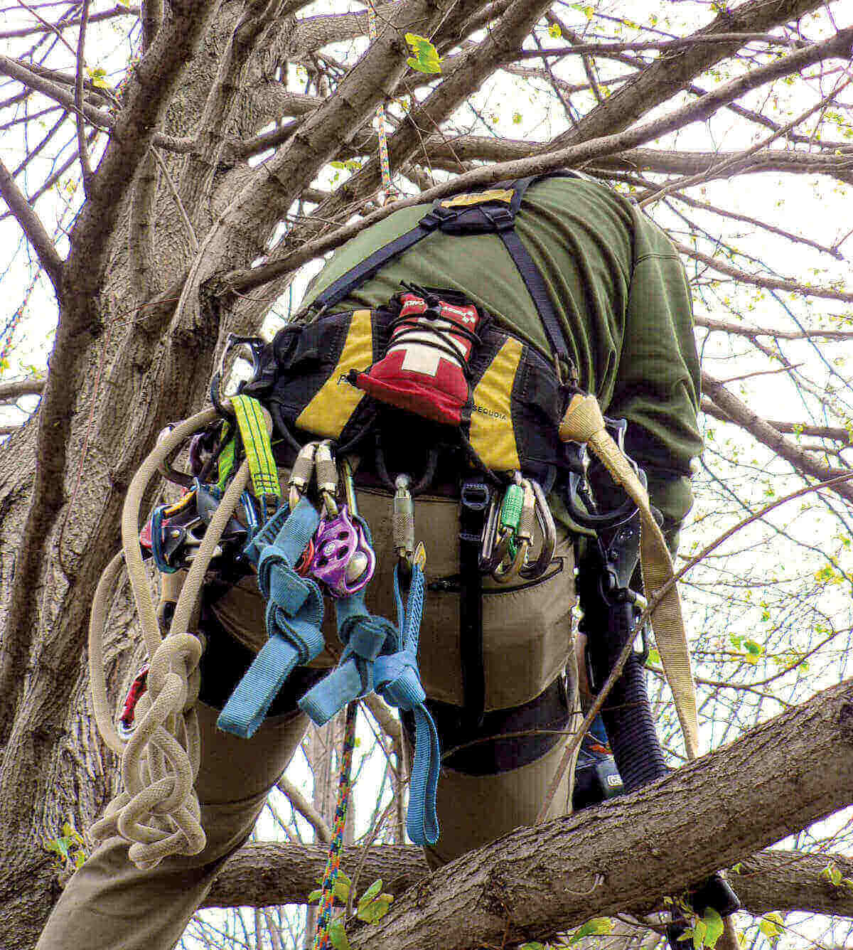 Health & Safety, Gifts & Tree Surgery | Explore & Buy Today!
