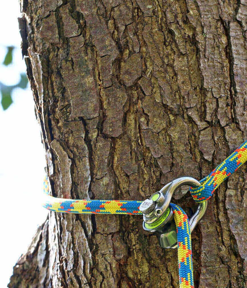 Ecoplug Max Tree Stump Control - 100 Pack - Fast, Safe Stump Killer