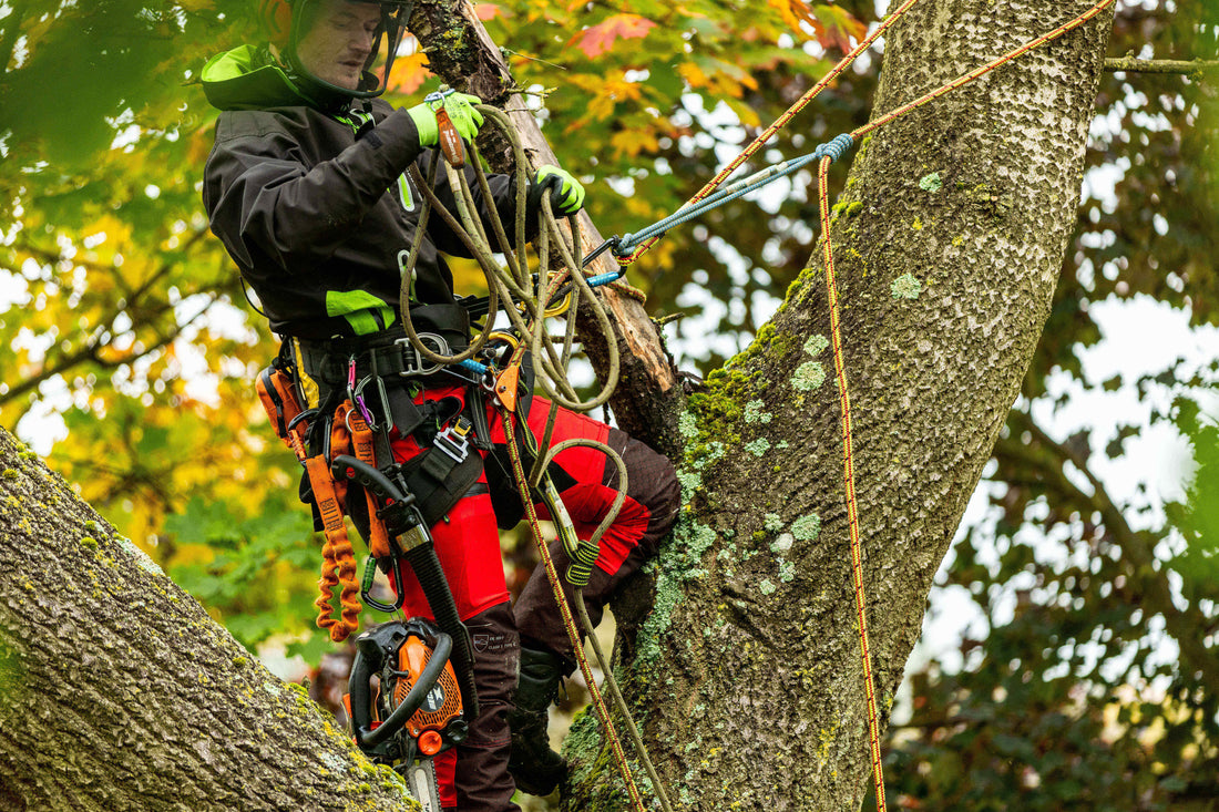 Essential Arborist Rigging Equipment | Ropes & Pulleys UK